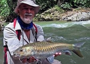 Fish Species in Thailand - Freshwater Species